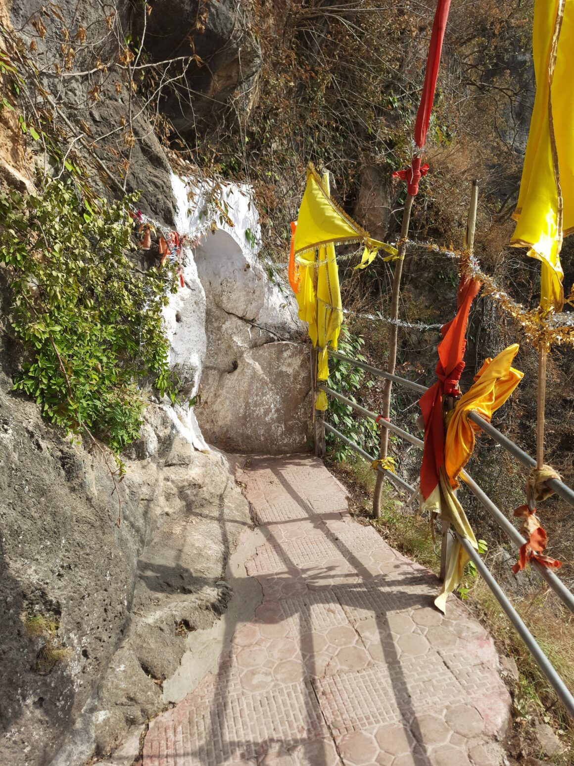 https://shepherdtrail.in/shiv dhank trek information