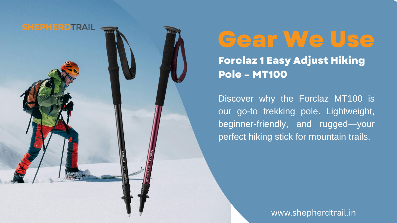The Gear We Use: Forclaz 1 Easy Adjust Hiking Pole – MT100 | ShepherdTrail